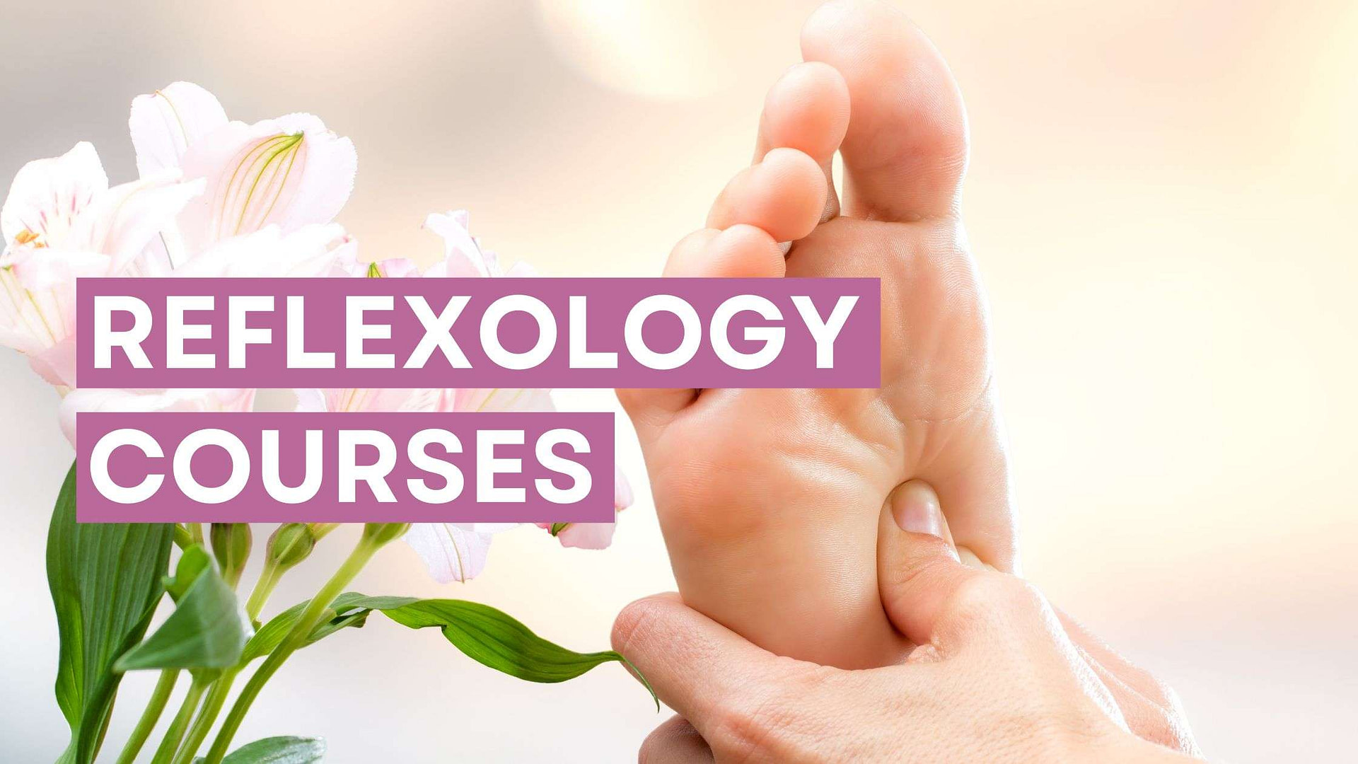 Reflexology Courses | Essentials Holistic